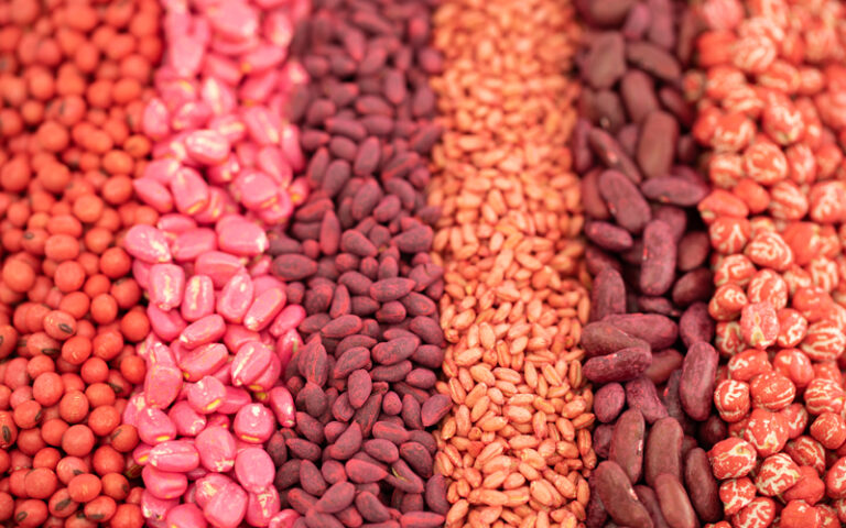 Albaugh Seed Treatment – Elevating the science of seed treatment